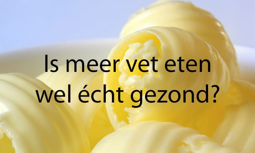 Vet gezonder - TheNewFood