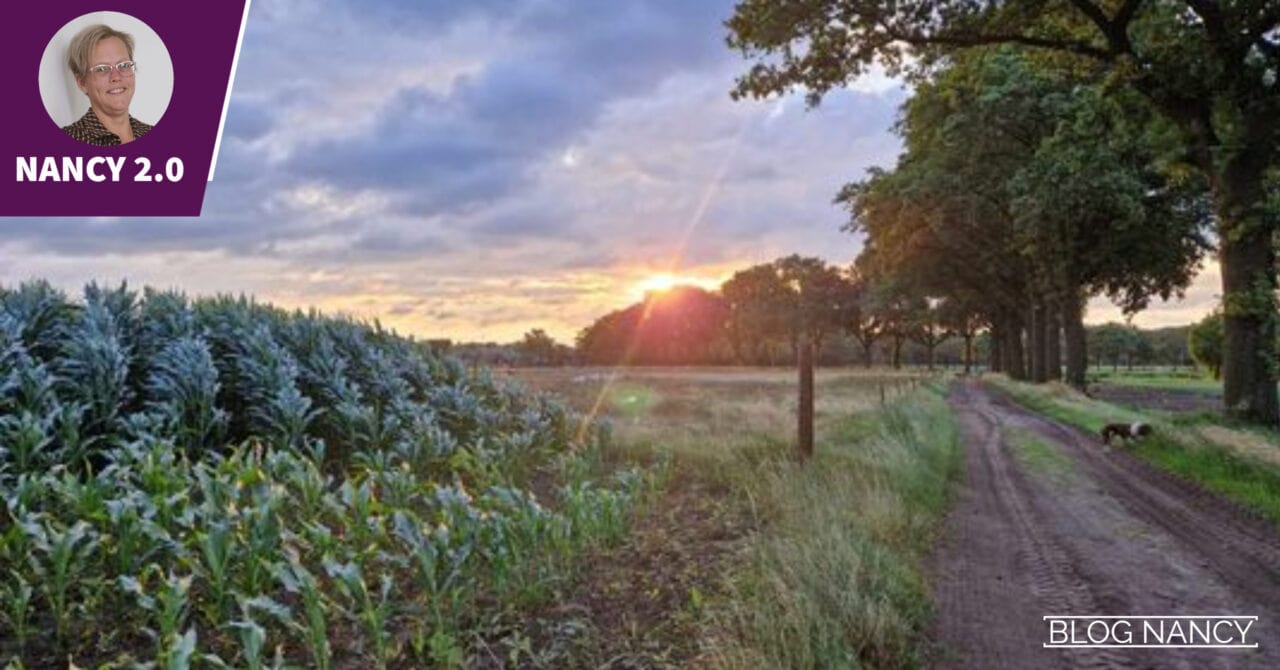 BLOG 58 Weer op de goede weg - TheNewFood